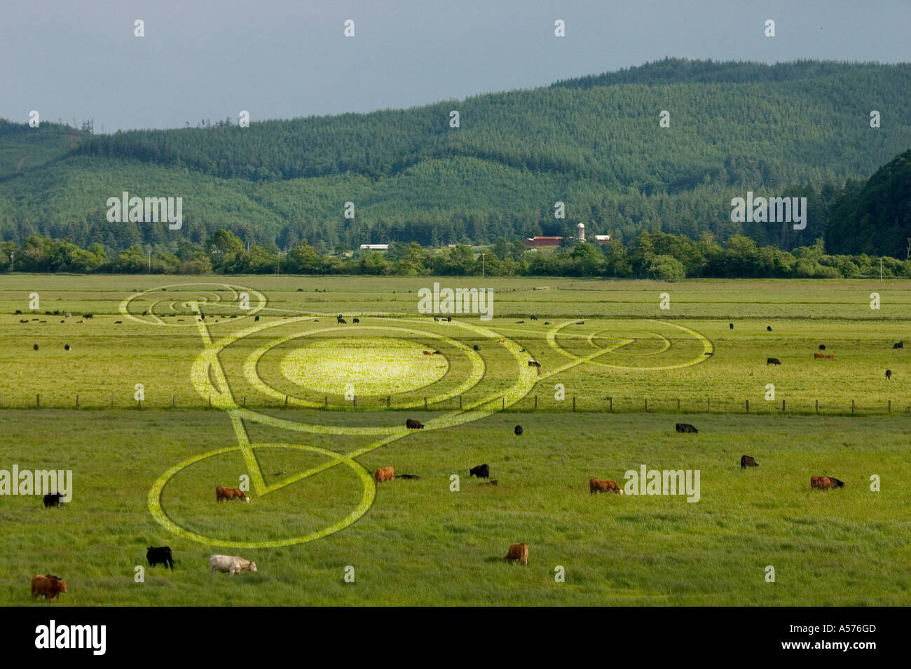 Flying saucer crop circle hi-res stock photography and images - Alamy