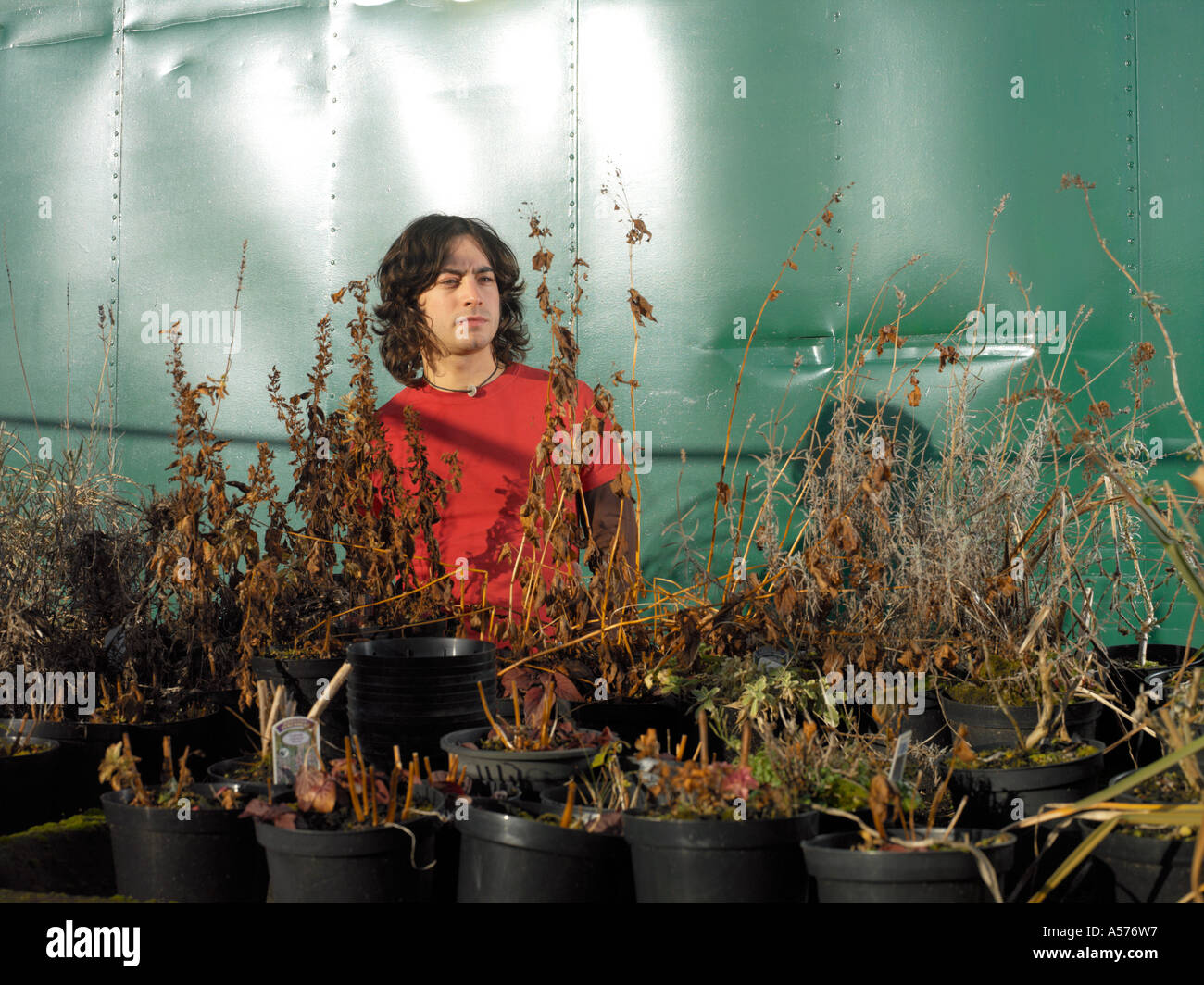 Death of plant hi-res stock photography and images - Alamy