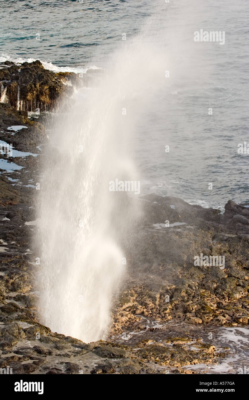Spouting horn blow hole hi-res stock photography and images - Alamy