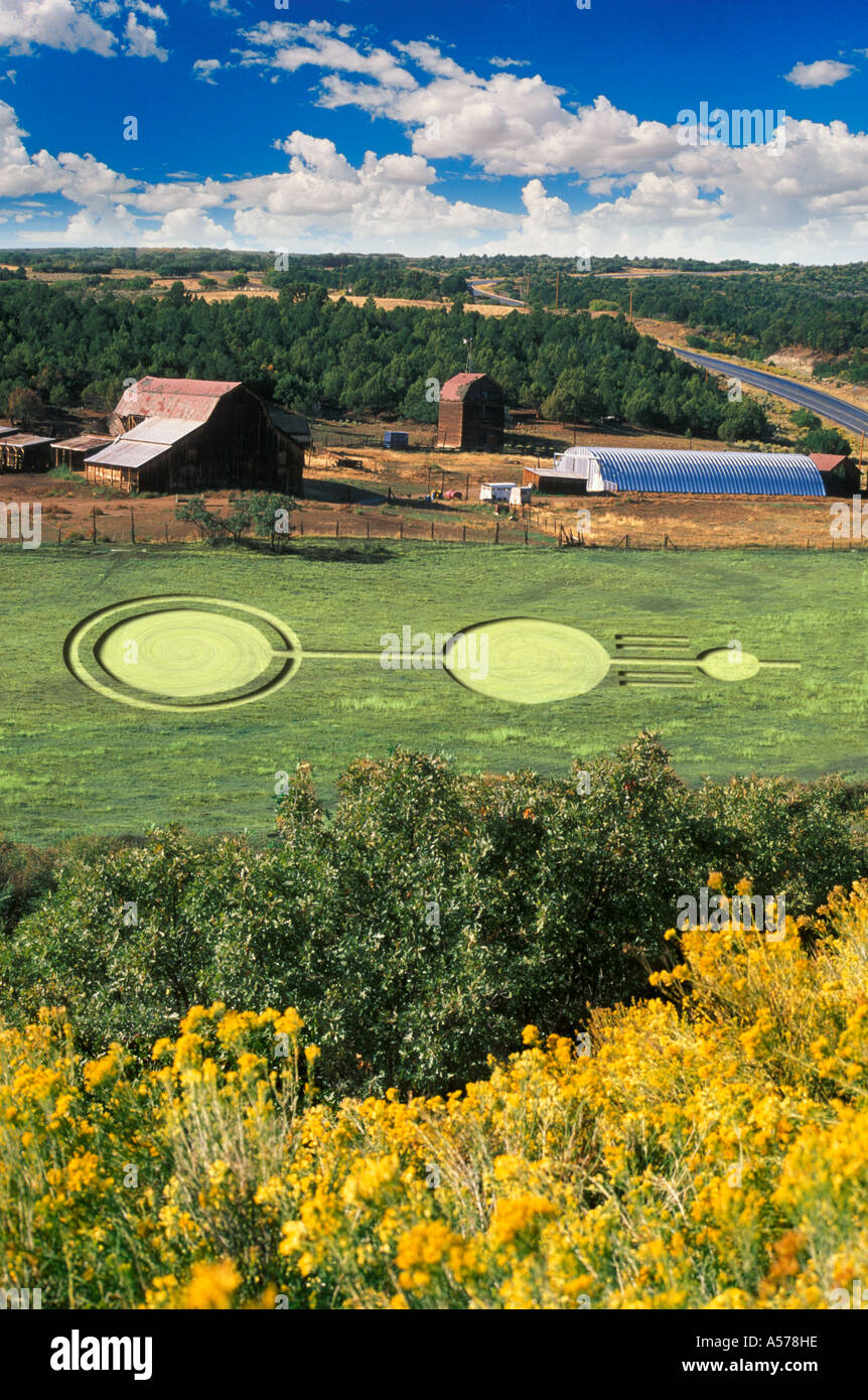 Crop circle in farmland Stock Photo - Alamy