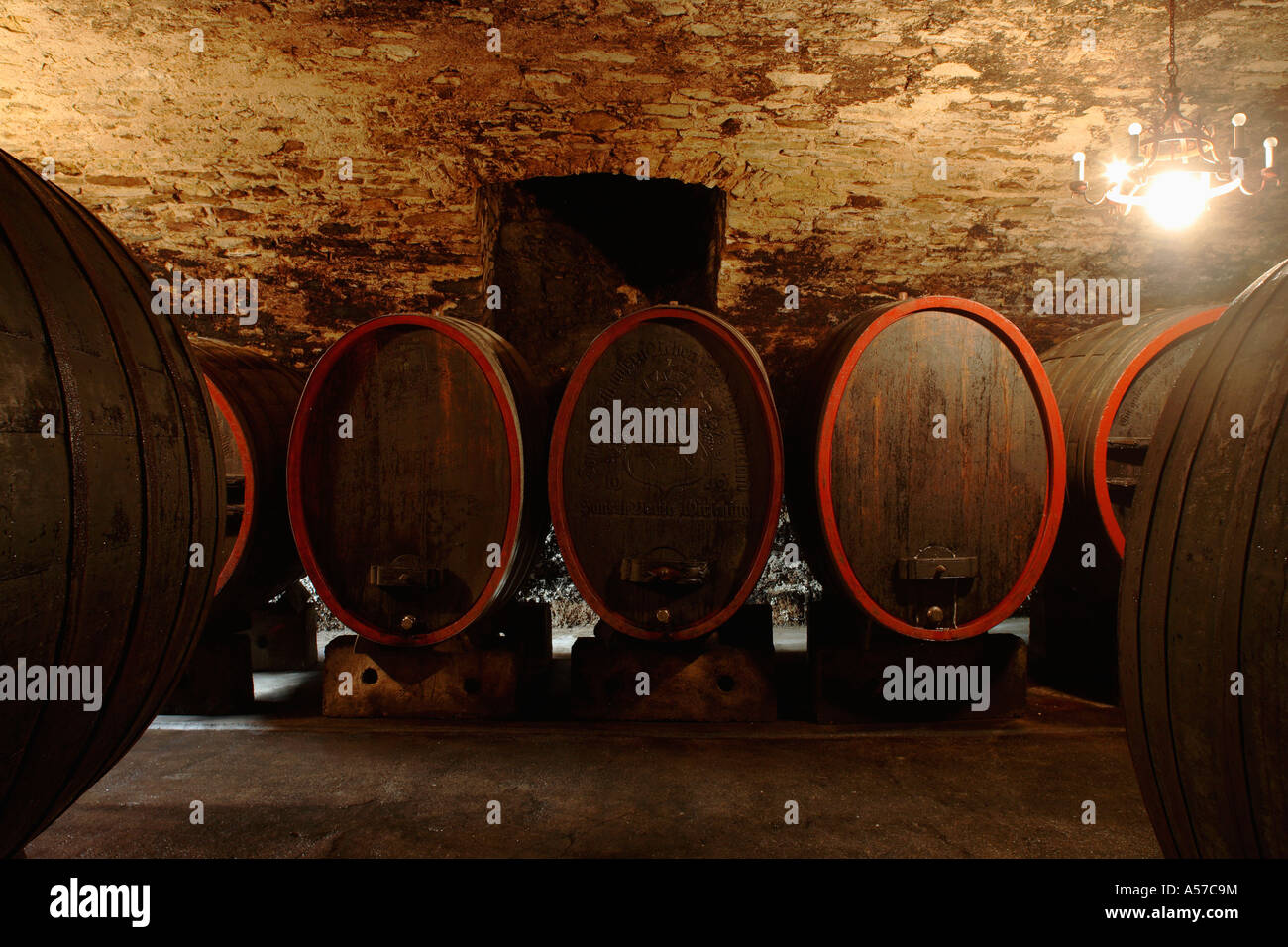 Wine casks in cellar Stock Photo - Alamy