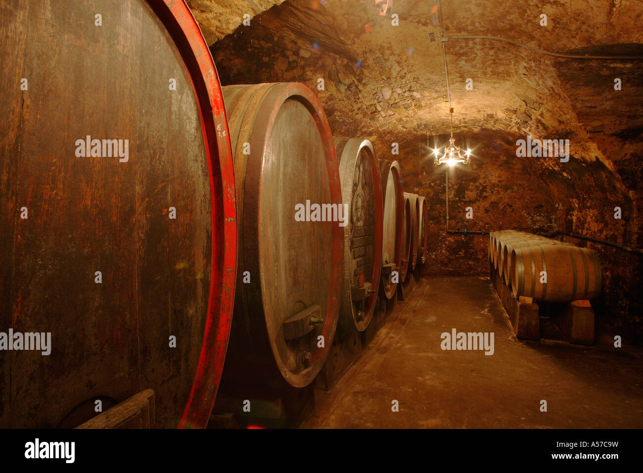 Wine casks in cellar Stock Photo - Alamy