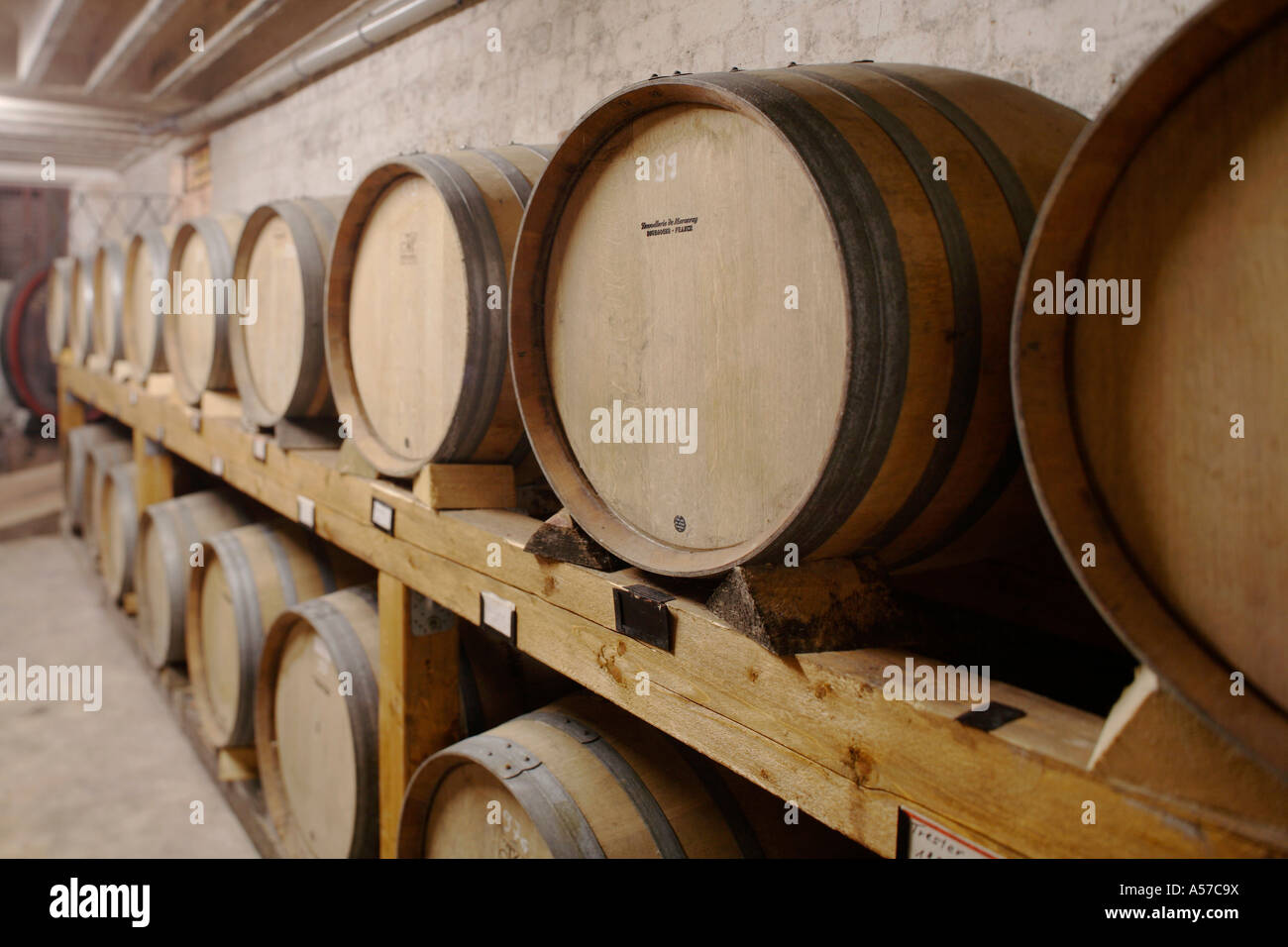 Wine casks in cellar Stock Photo - Alamy