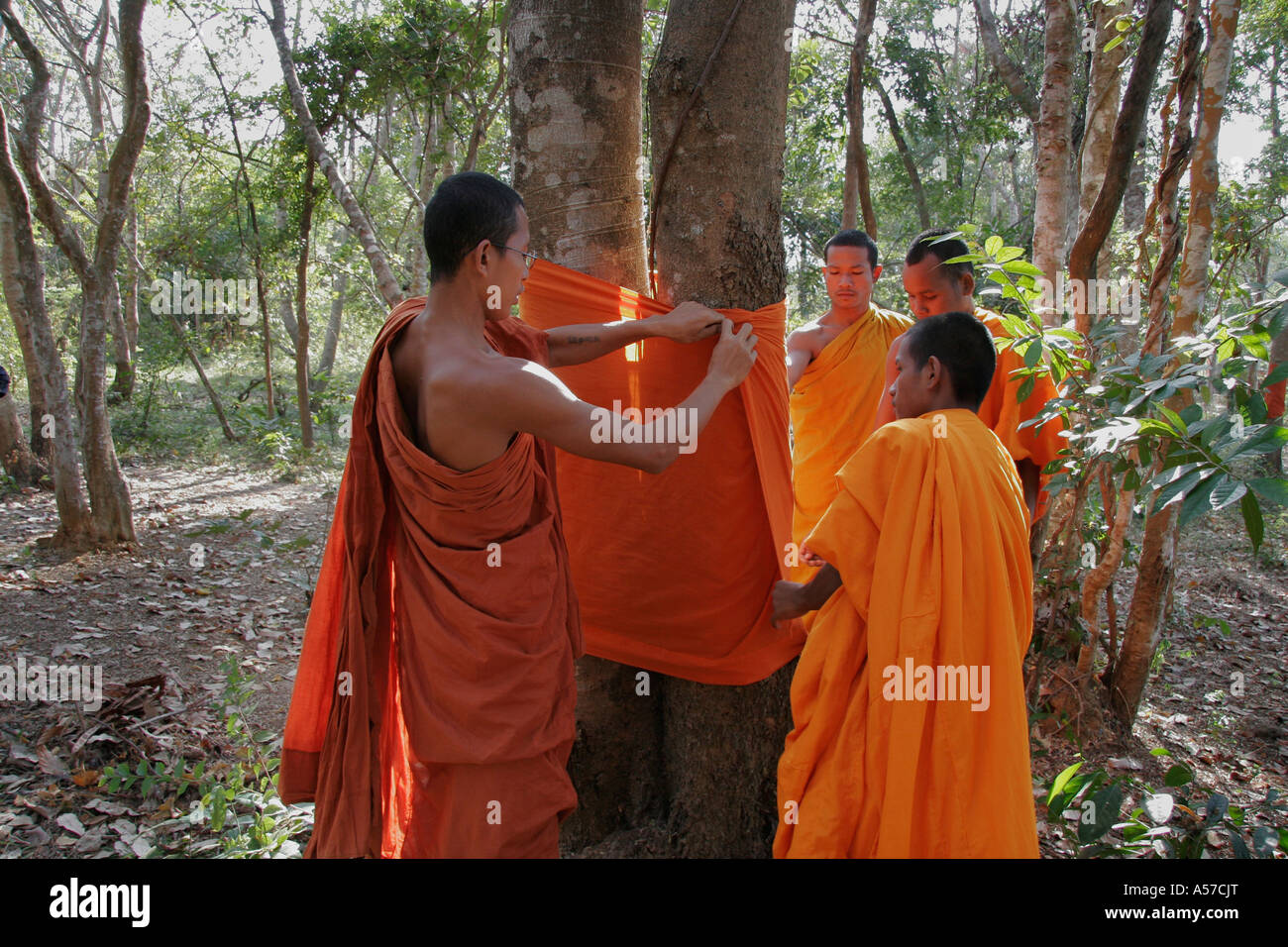 Kiri hi-res stock photography and images - Alamy