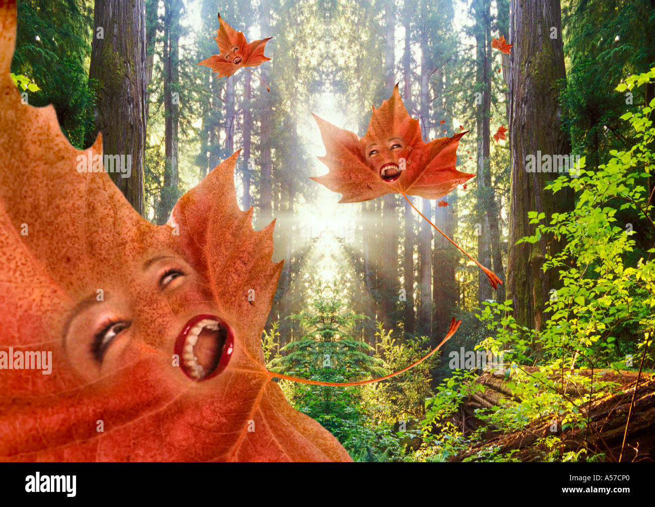 Nature landscape dale o'dell surreal High Resolution Stock Photography ...