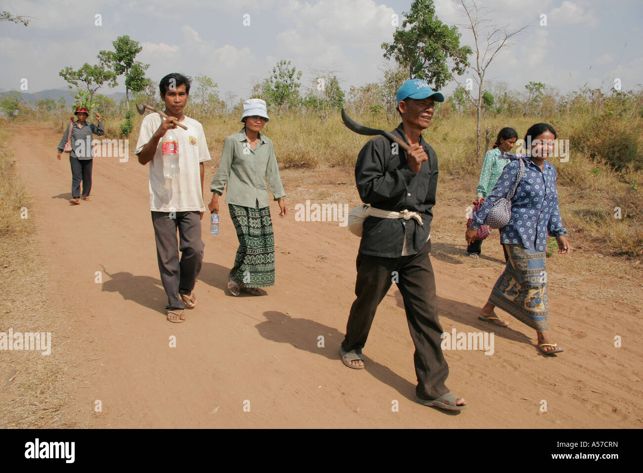 Logging community hi-res stock photography and images - Alamy
