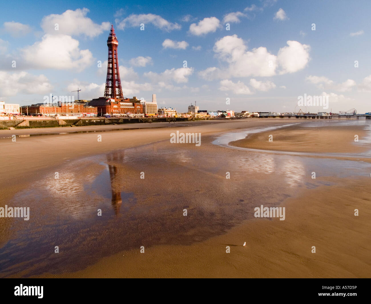 Blackpool Tower from the beach Stock Photo - Alamy