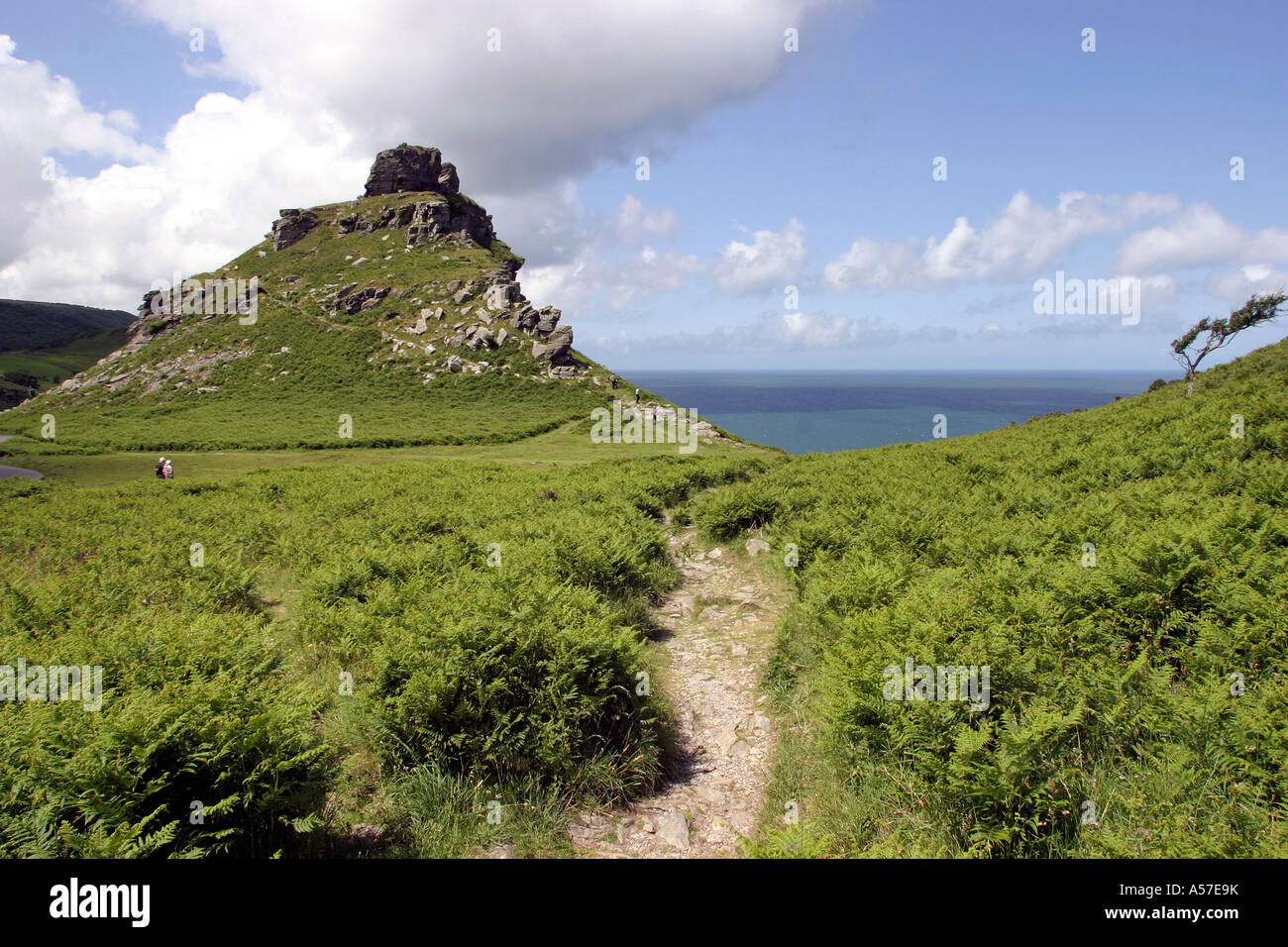 Devonian rocks hi-res stock photography and images - Alamy