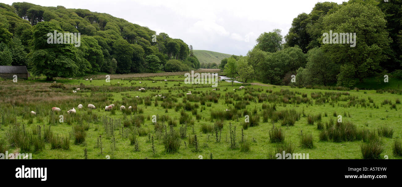 Barle Valley Simonsbath High Resolution Stock Photography and Images ...