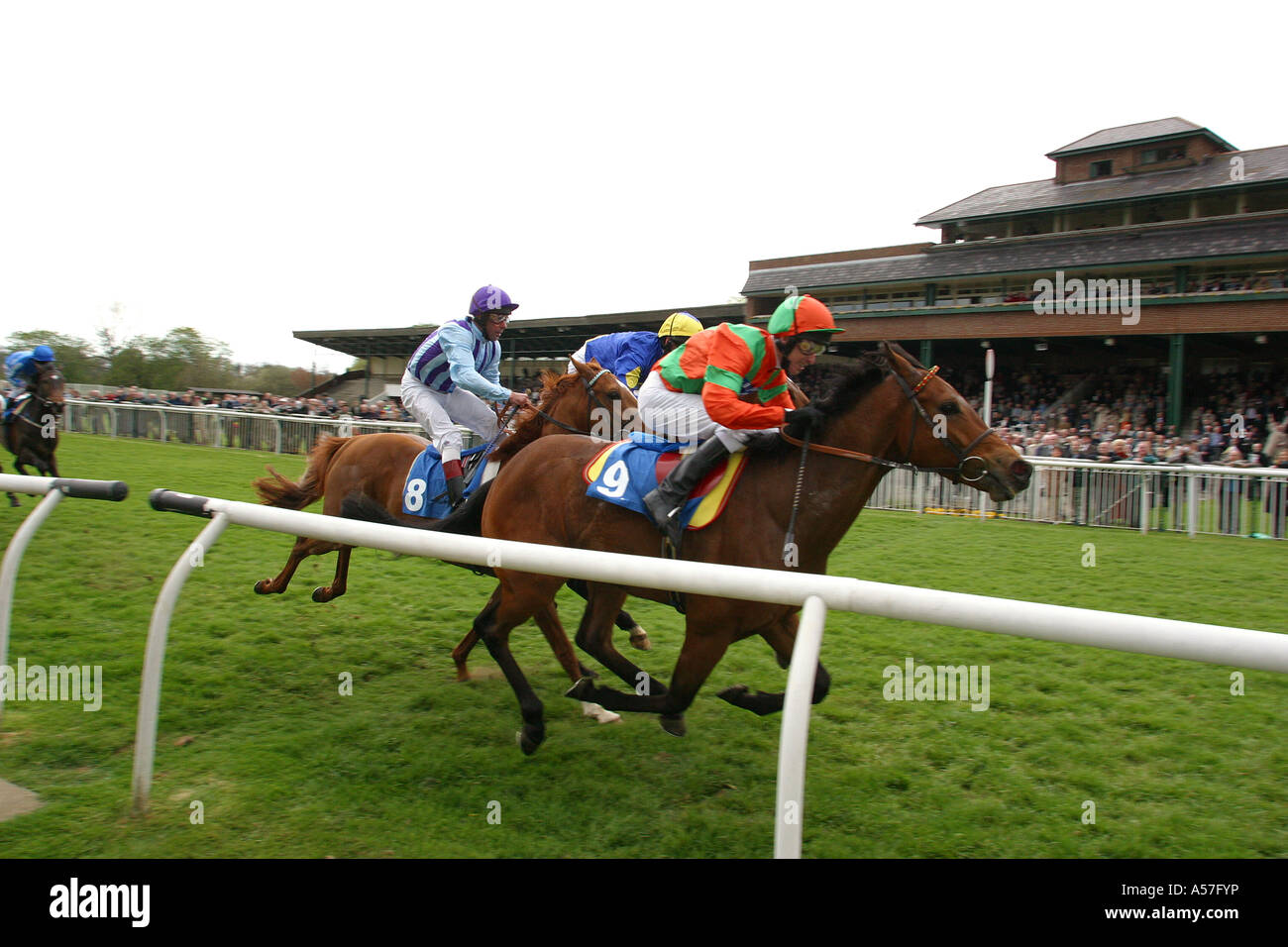 Ripon racecourse hi-res stock photography and images - Alamy