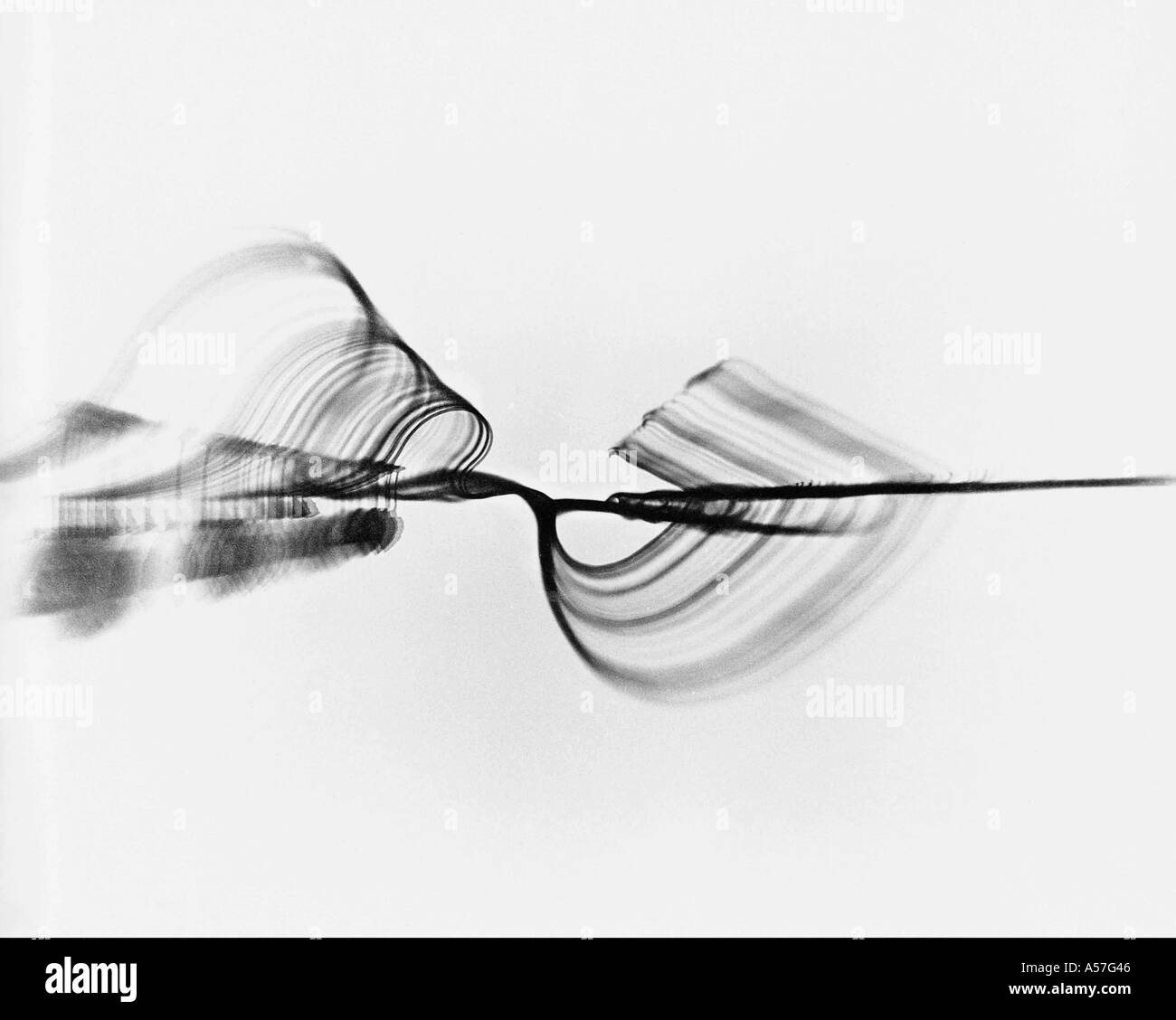 Design movement Black and White Stock Photos & Images - Alamy