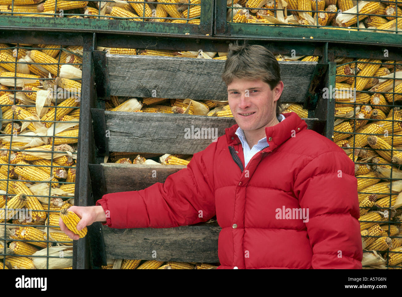 YOUNG FARMER IN WISCONSIN WITH STORED FIELD CORN. LATE FALL Stock Photo ...