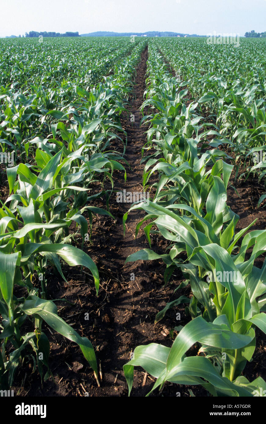 Young hastings hi-res stock photography and images - Alamy