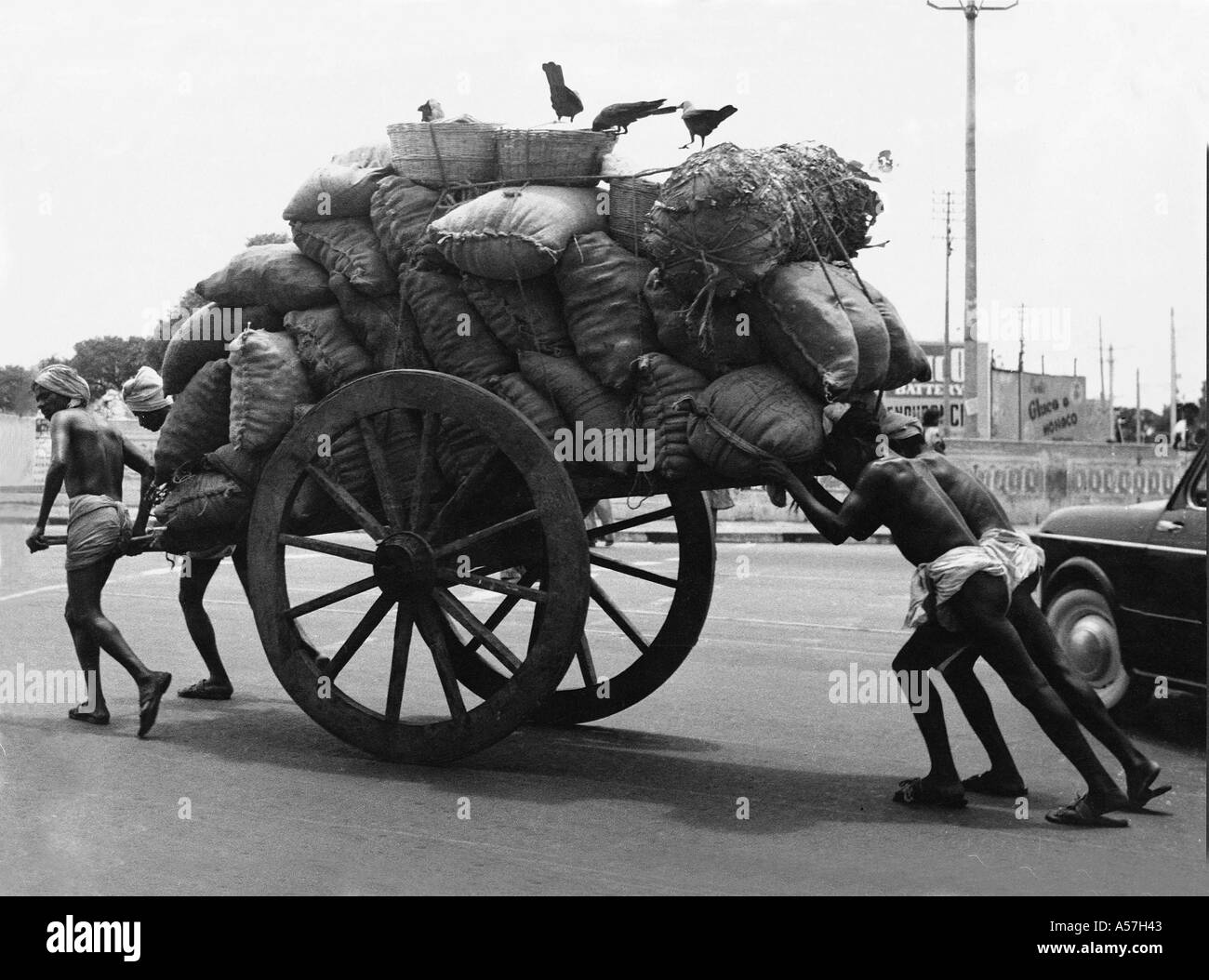 Hand Cart puller Madras Chennai Tamil Nadu India 1956 Stock Photo - Alamy