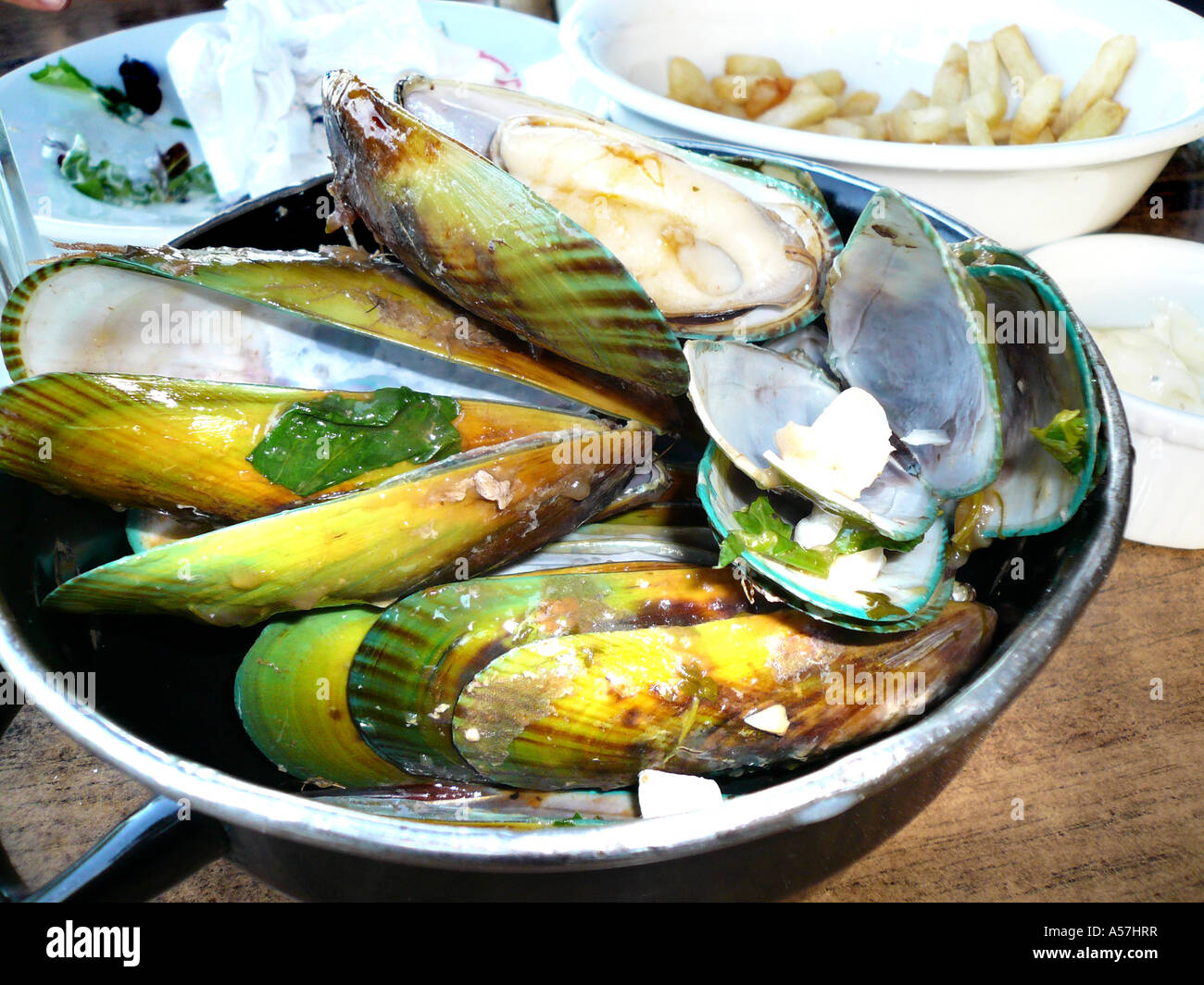New Zealand clams seafood Stock Photo - Alamy