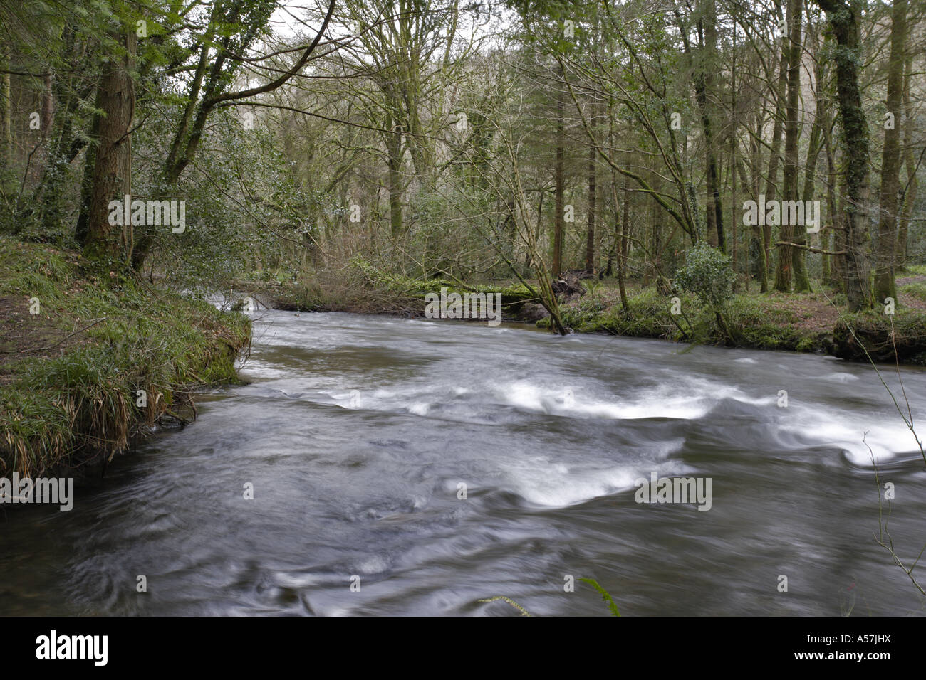 Dunmere hi-res stock photography and images - Alamy
