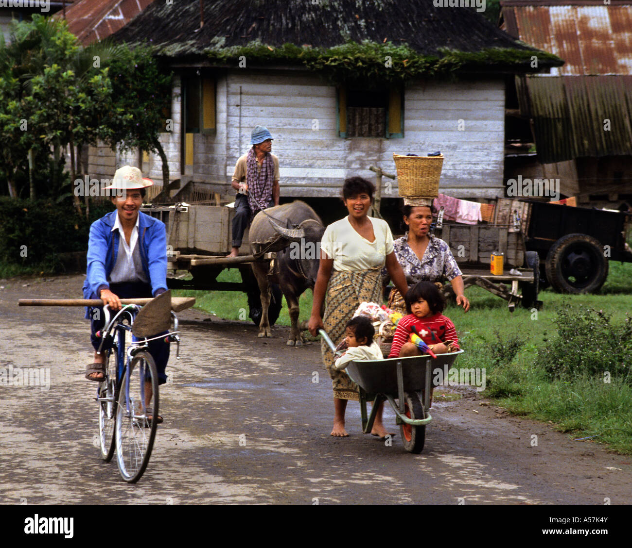 Farmer Toba Batak (Toba,Karo,Simalungun,Pak Pak, Mandailing, Angkola ...