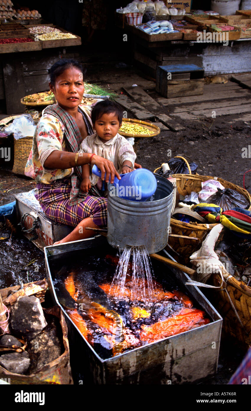 The batak largest indigenous groups indonesia hi-res stock photography ...
