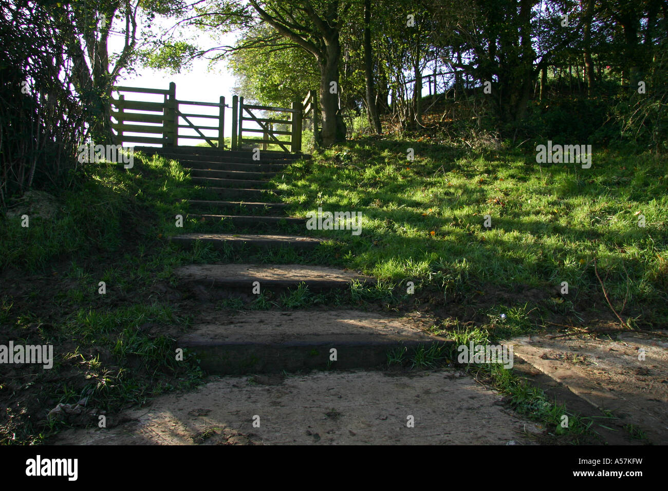 Walk through a gate Stock Photo - Alamy