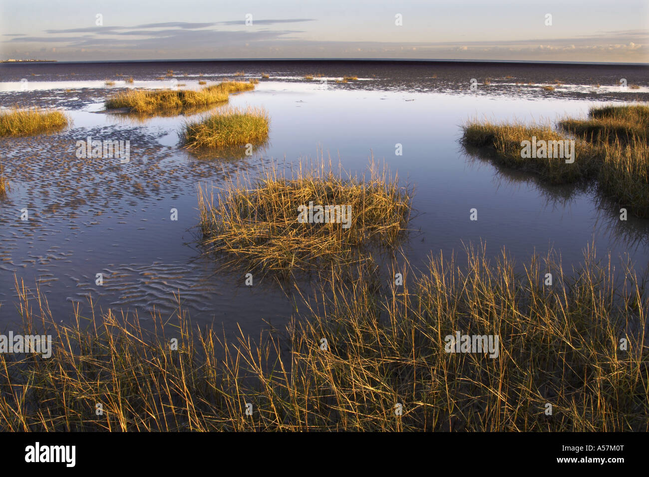 Cliffsend hi-res stock photography and images - Alamy