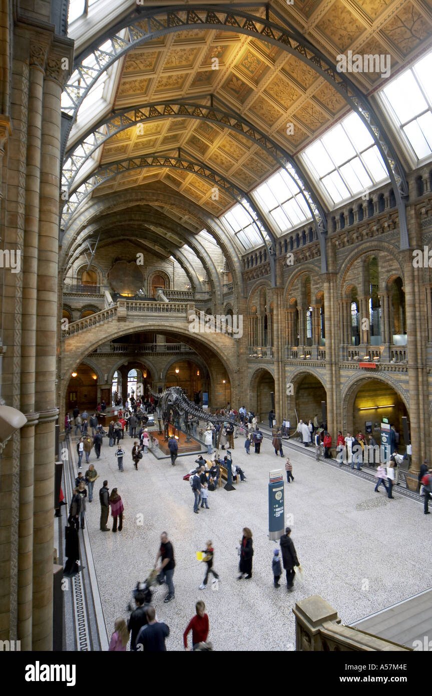 Atrium Interior of Natural History Museum London SW7 Stock Photo - Alamy