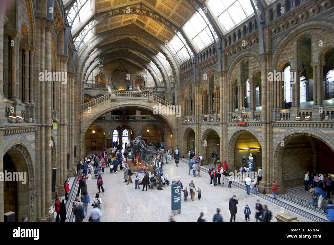 Atrium Interior of Natural History Museum London SW7 Stock Photo - Alamy