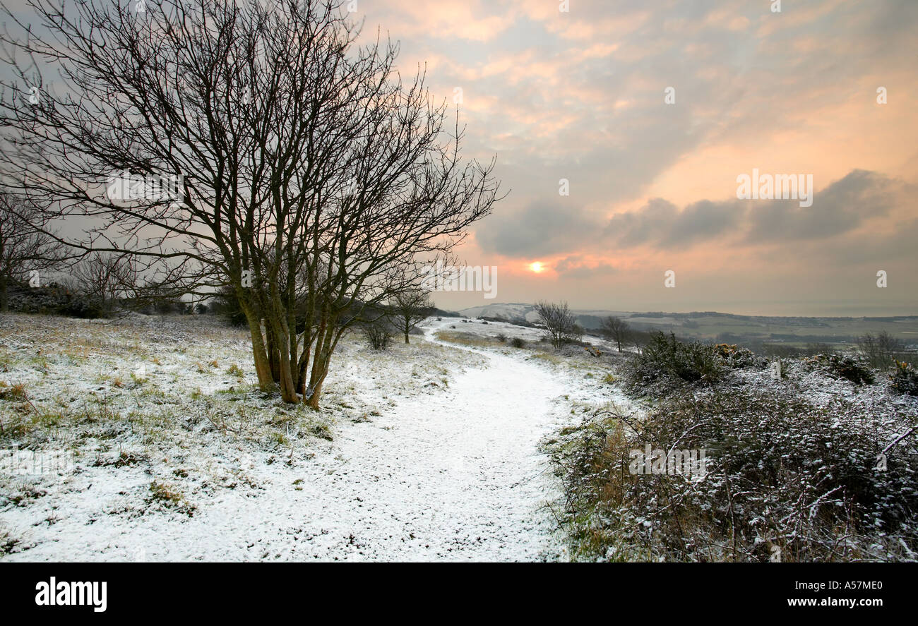 Brading Down in the snow Isle of Wight Stock Photo - Alamy