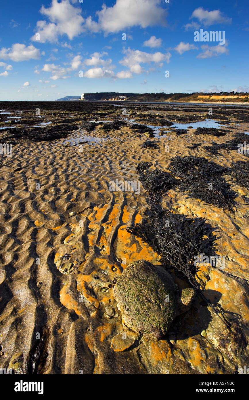 Whitecliff bay hi-res stock photography and images - Alamy