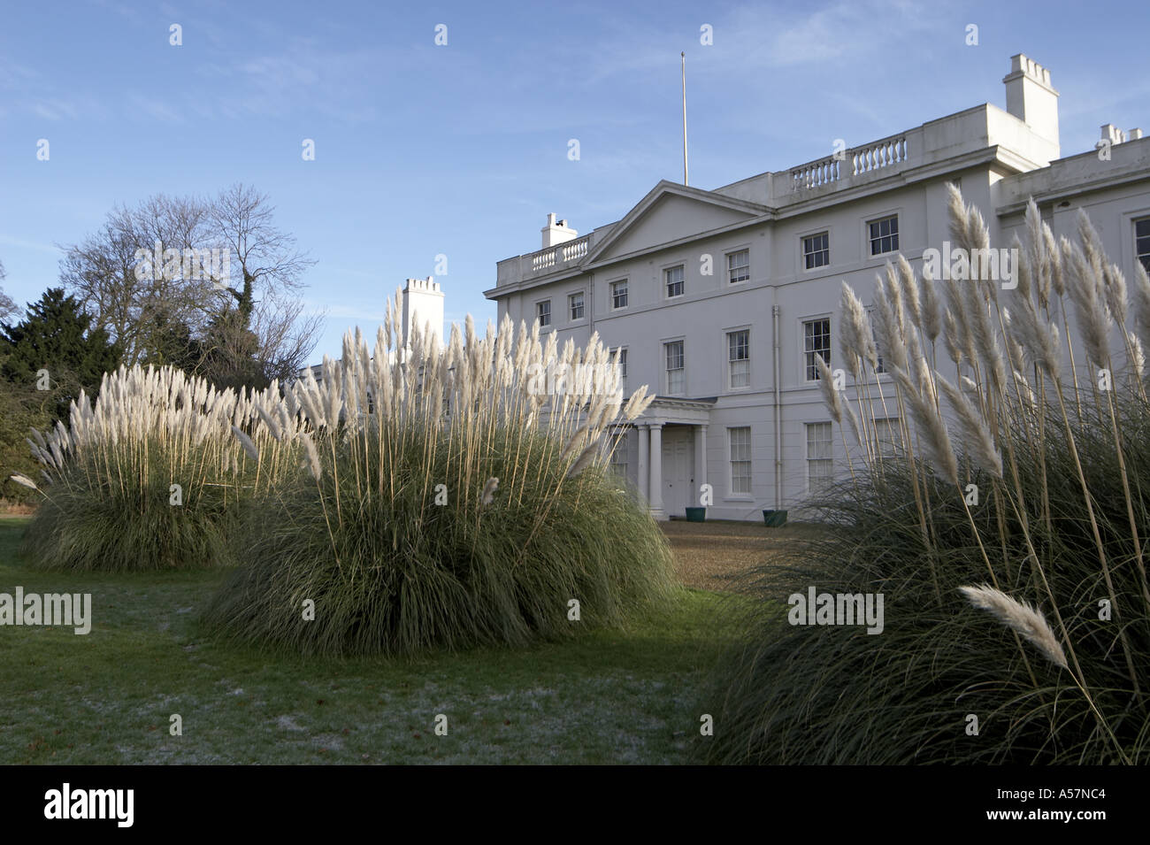 Front of Blake Hall with Pampas grass near Moreton Essex Stock Photo ...