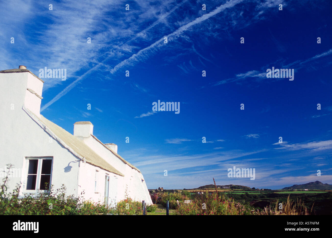 Cottage on coast path Stock Photo - Alamy