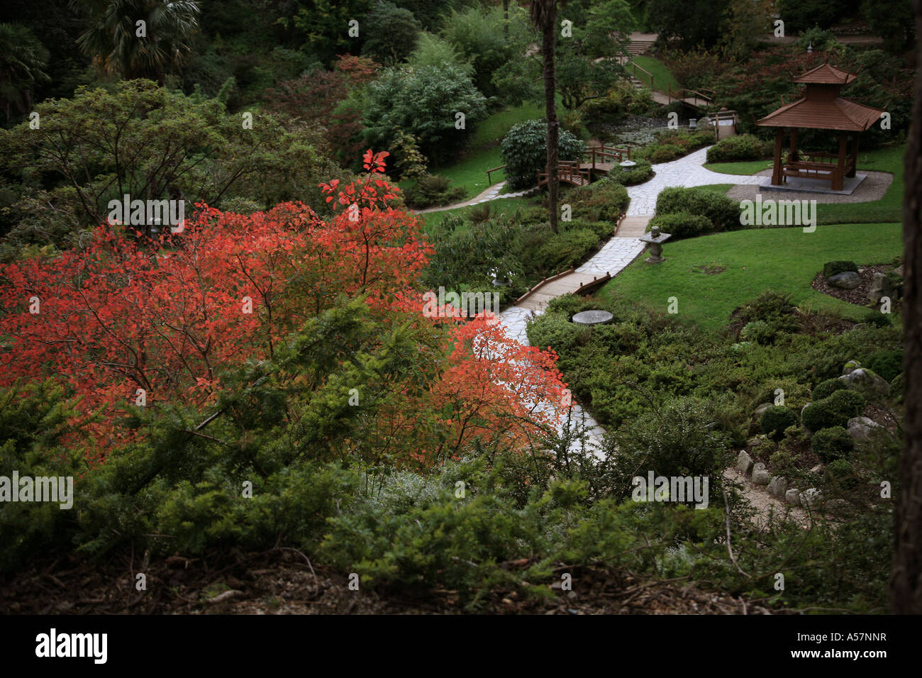 Japanese garden from above, Powerscourt Stock Photo - Alamy