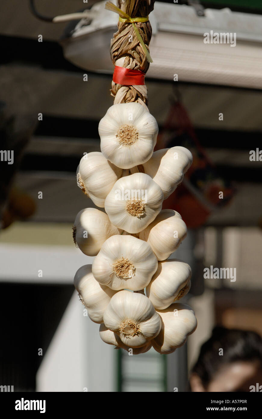 String of garlic bulbs hanging on a market stall in Italy Stock Photo ...