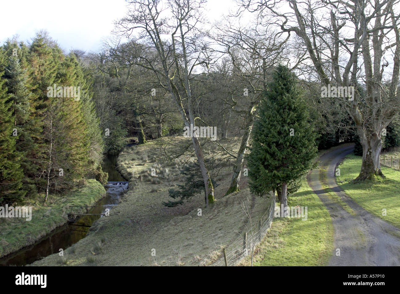 Lane and river at Ballynascreen Glebe Northern Ireland UK Stock Photo ...