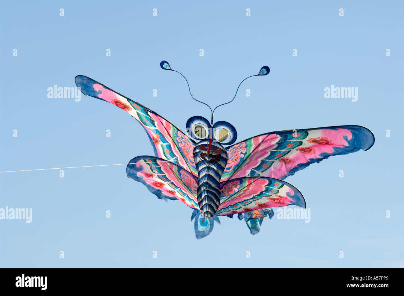 Large butterfly kite made by one of China's most famous kite makers Mr ...