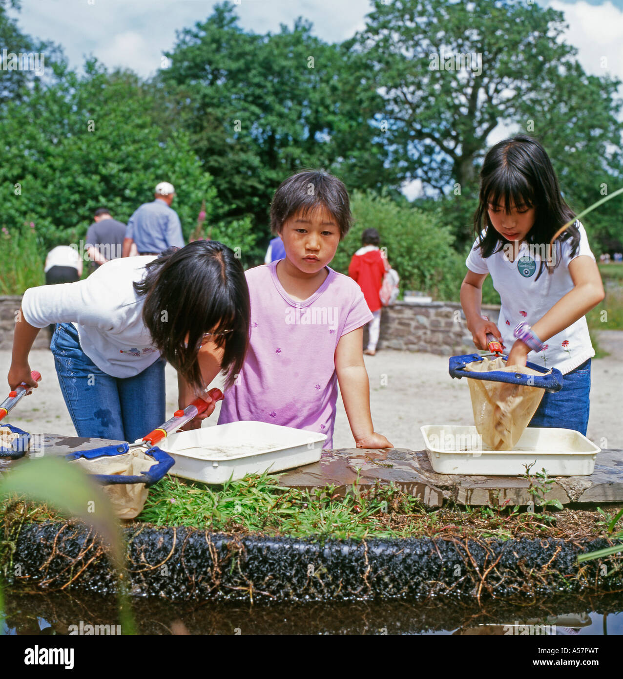 Uk garden insects kids hi-res stock photography and images - Alamy