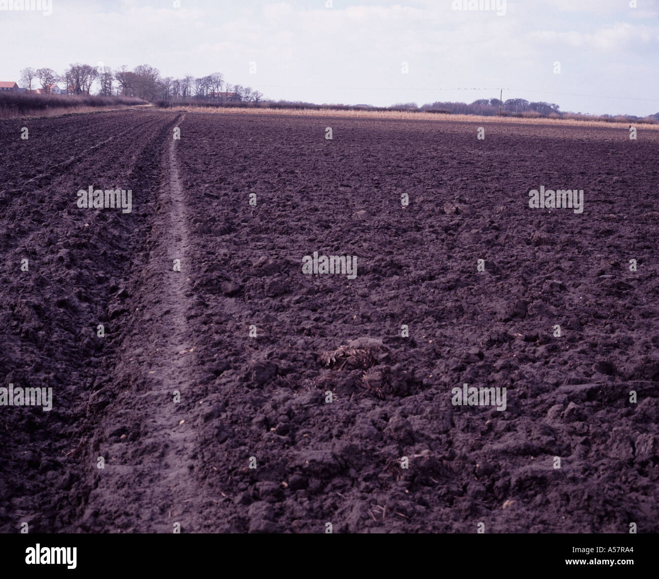 Wet ploughed field uk hi-res stock photography and images - Alamy