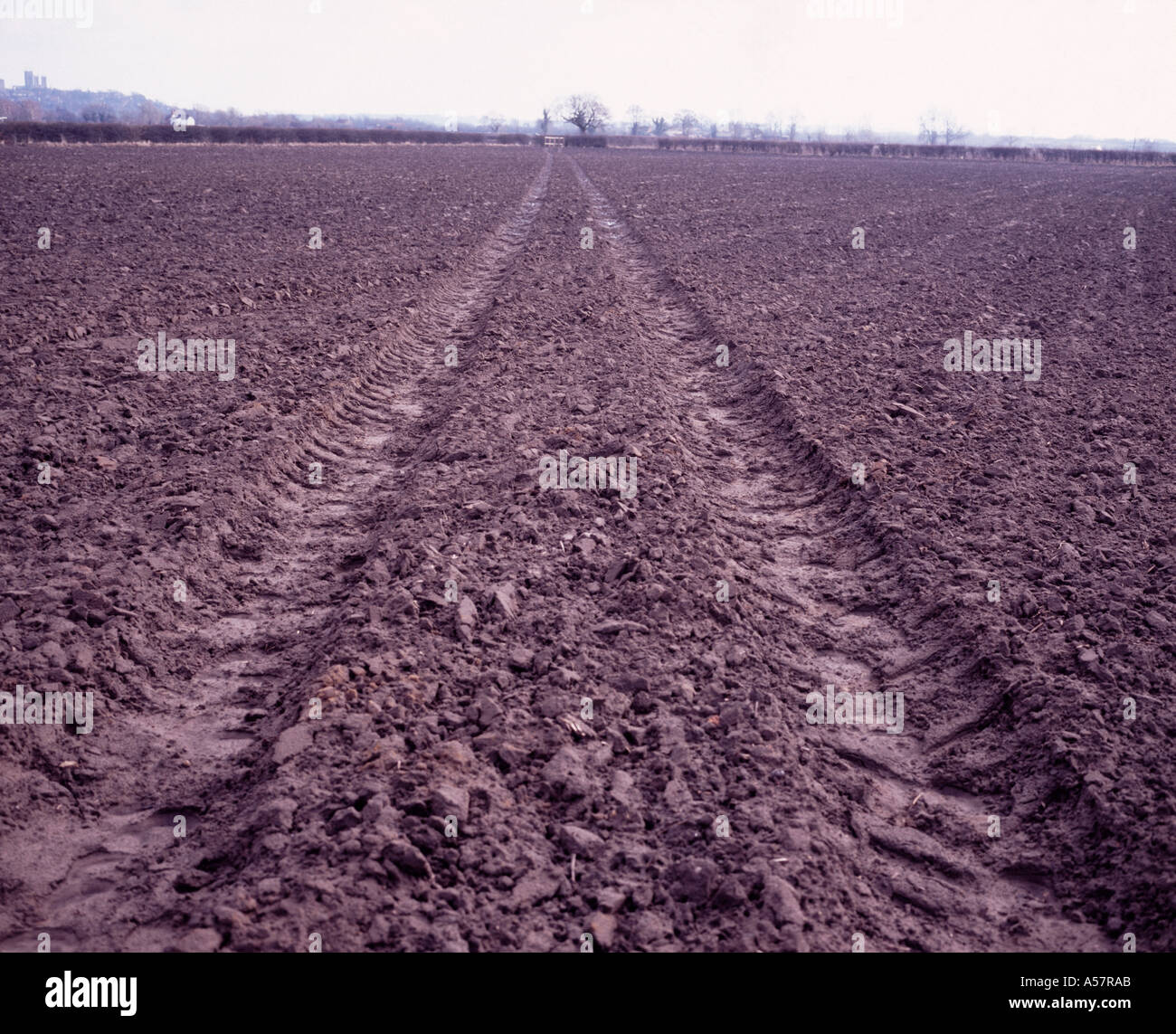 Track across a muddy field Lincolnshire UK Stock Photo - Alamy