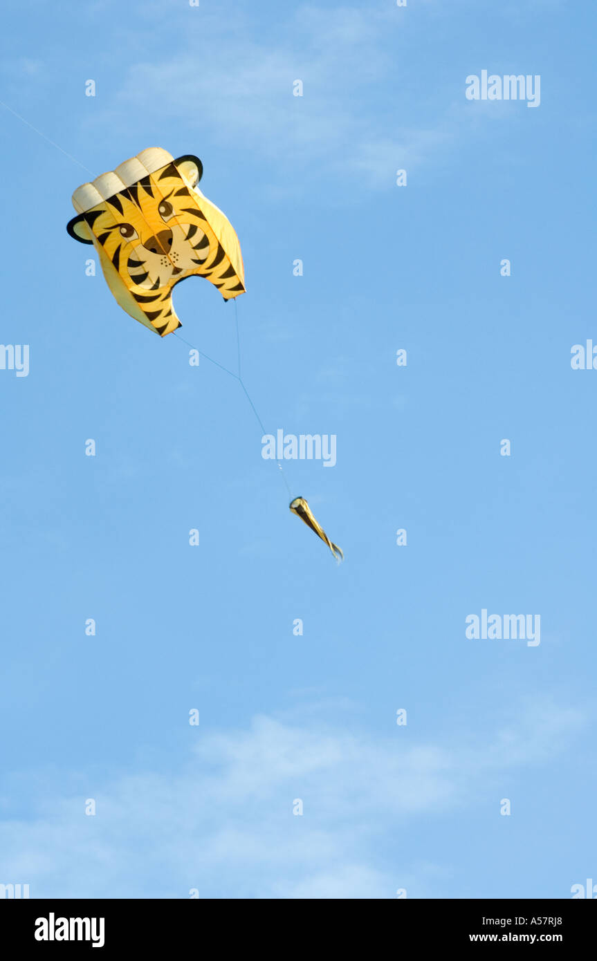 Chinese New Year Kite Flying Festival High Resolution Stock Photography ...