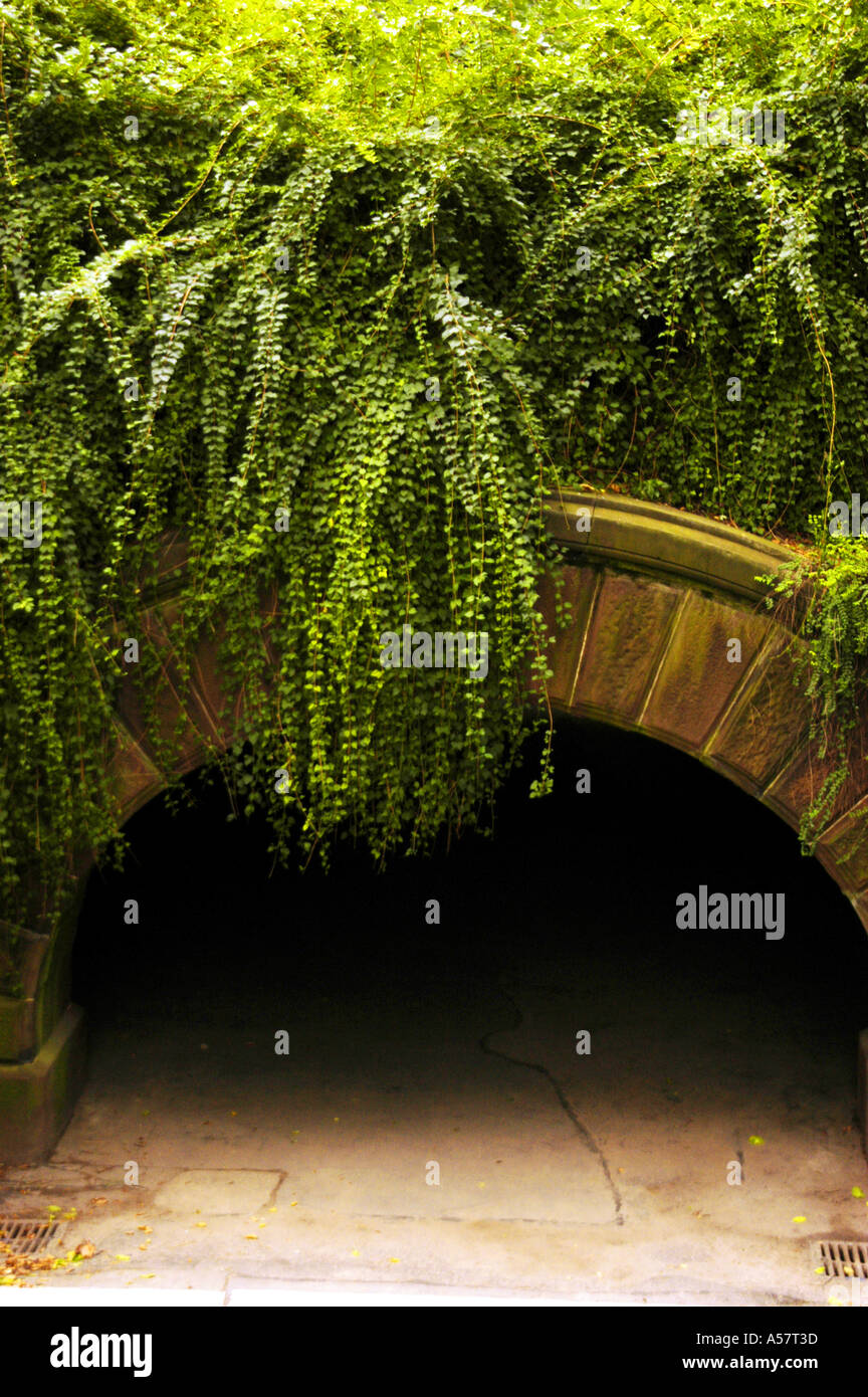 Fern covered archway Central Park New York Stock Photo - Alamy