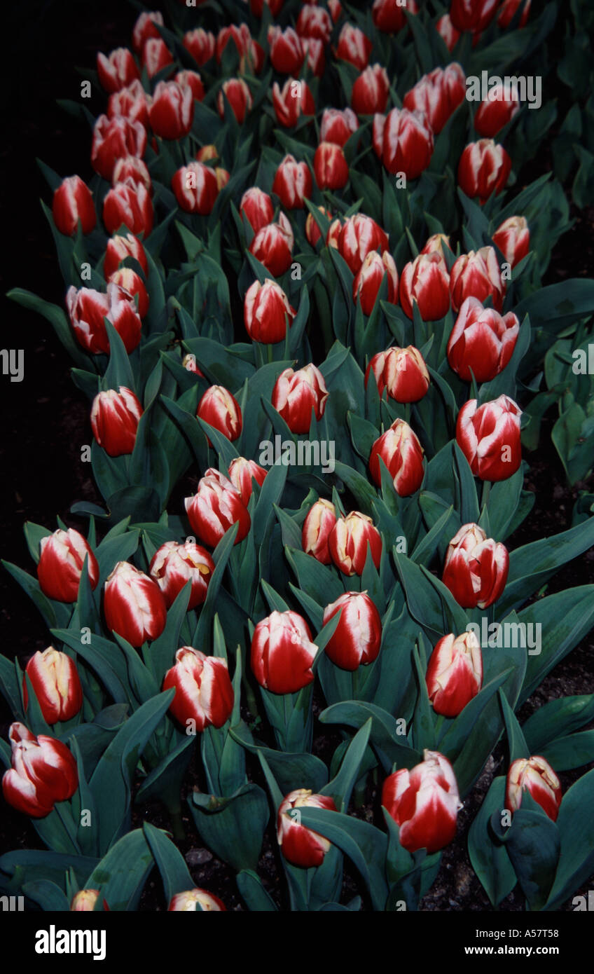 Leen hi-res stock photography and images - Alamy