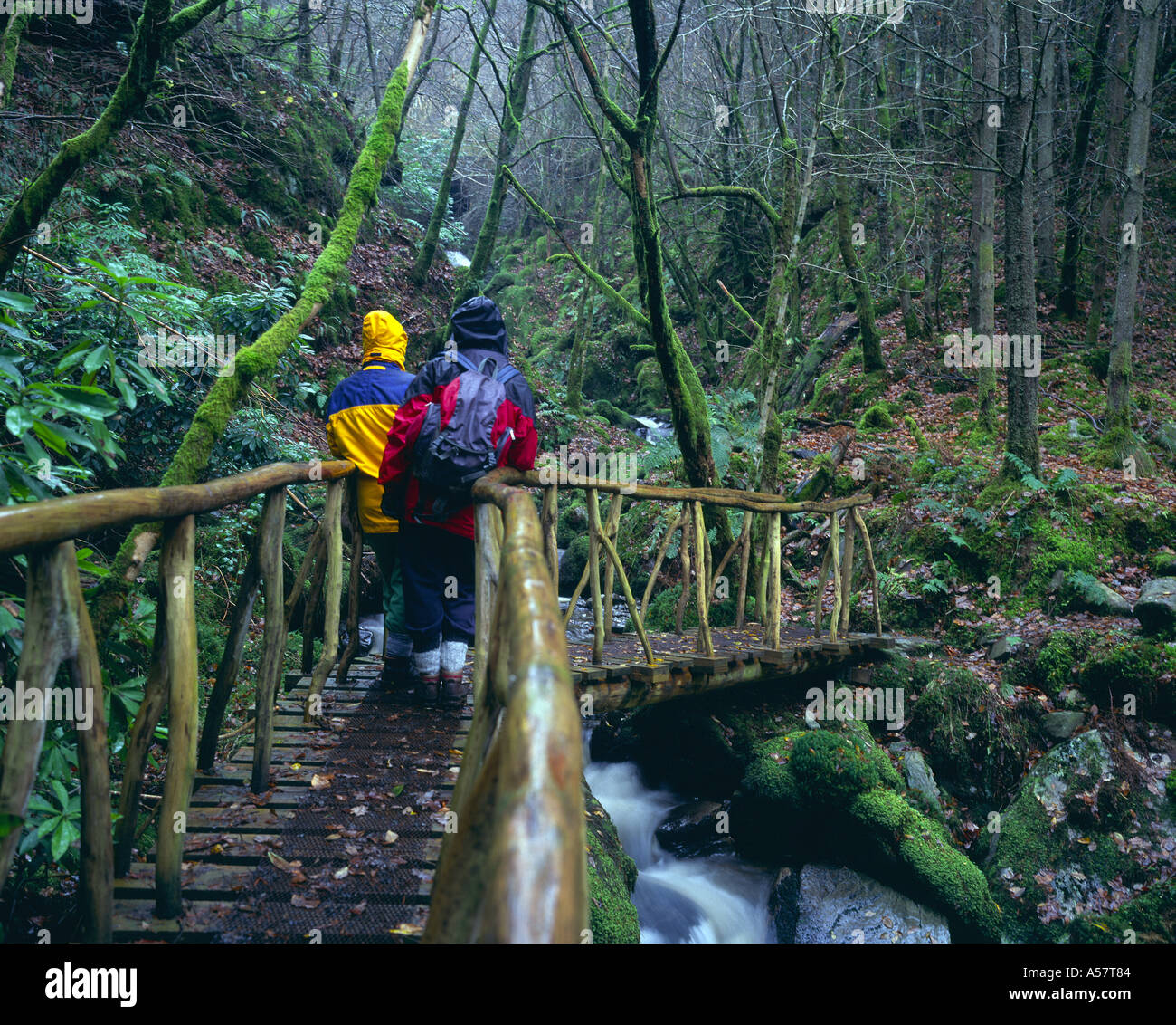2 two people crossing wooden bridge hi-res stock photography and images ...