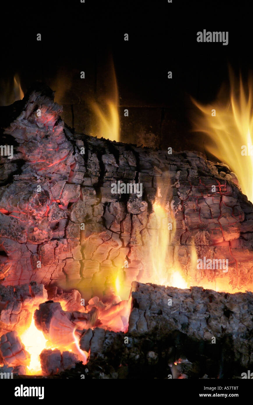 Close up of log wood fire ablaze bonfire burn burning natural organic ...