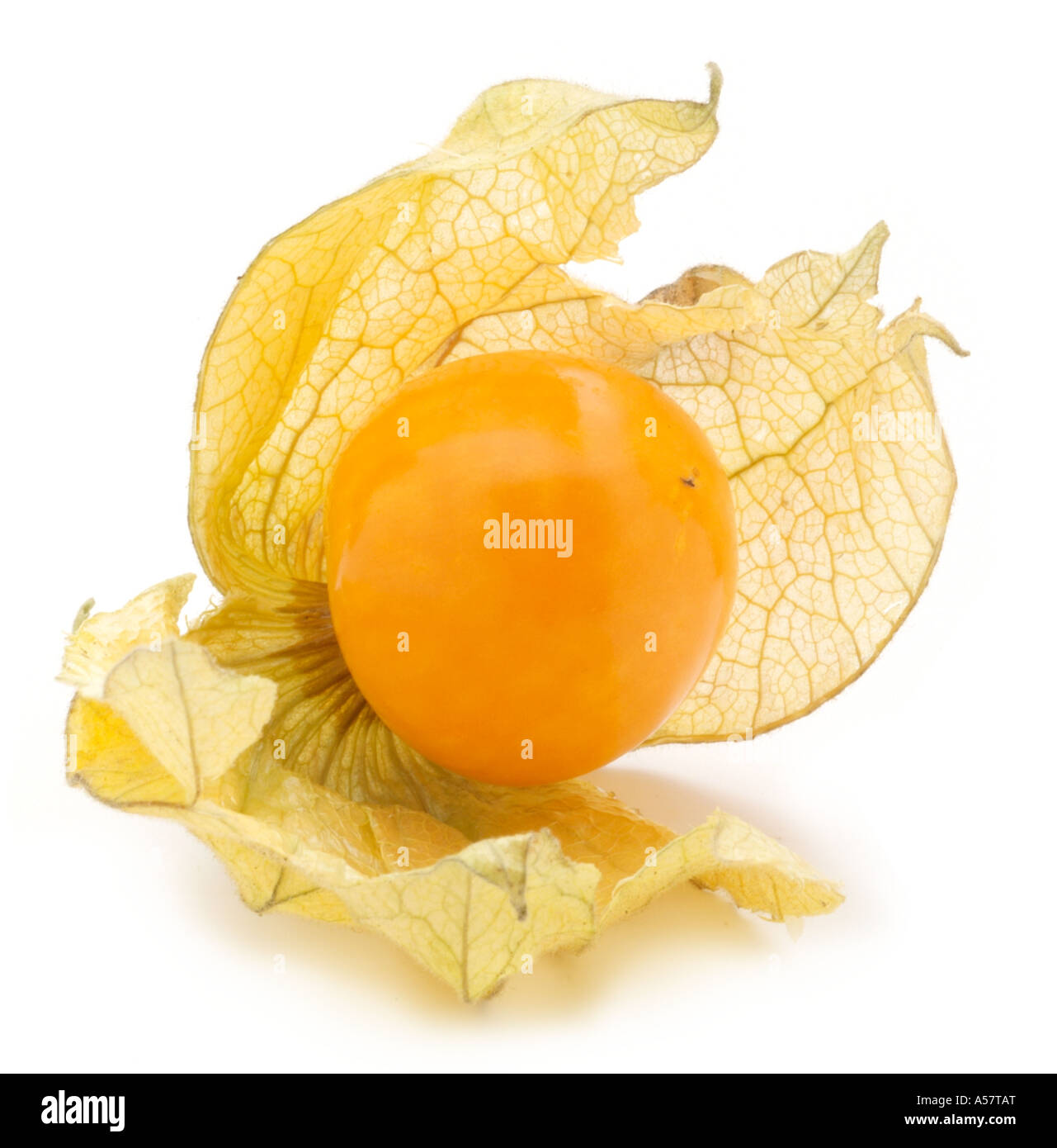 Physalis cape gooseberry fruit fresh seasonal tropical exotic Chinese ...