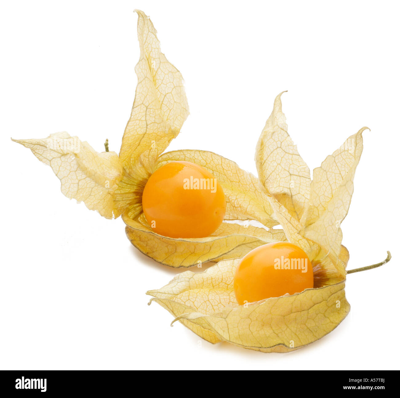 Physalis cape gooseberry cut in half hi-res stock photography and ...