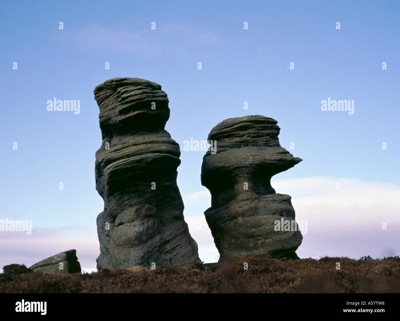 Jenny Twigg and her daughter Tib, near Lofthouse, near Pateley Bridge ...