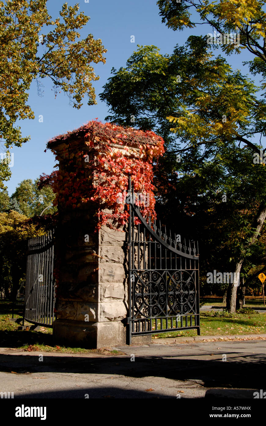 Iron gate Stock Photo, Royalty Free Image: 11226085 - Alamy