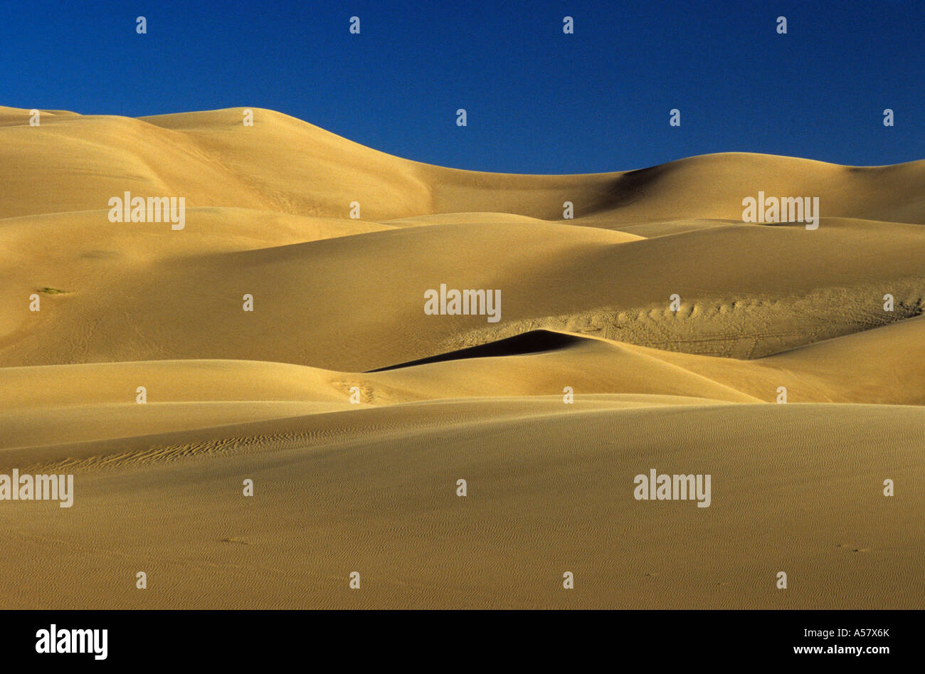 Runner on Great Sand Dunes National Park Southern Colorado USA Stock ...