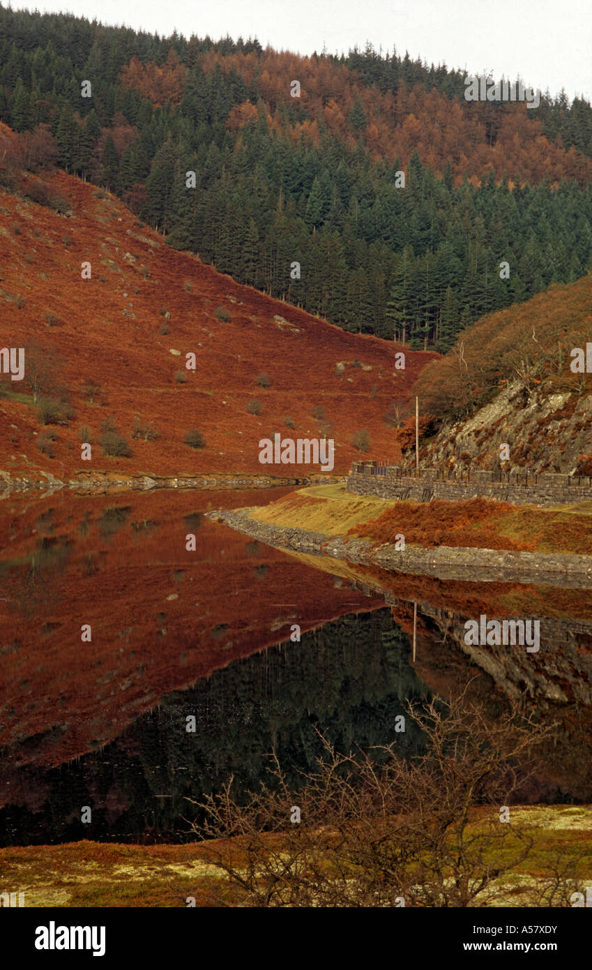 Welsh drovers hi-res stock photography and images - Alamy