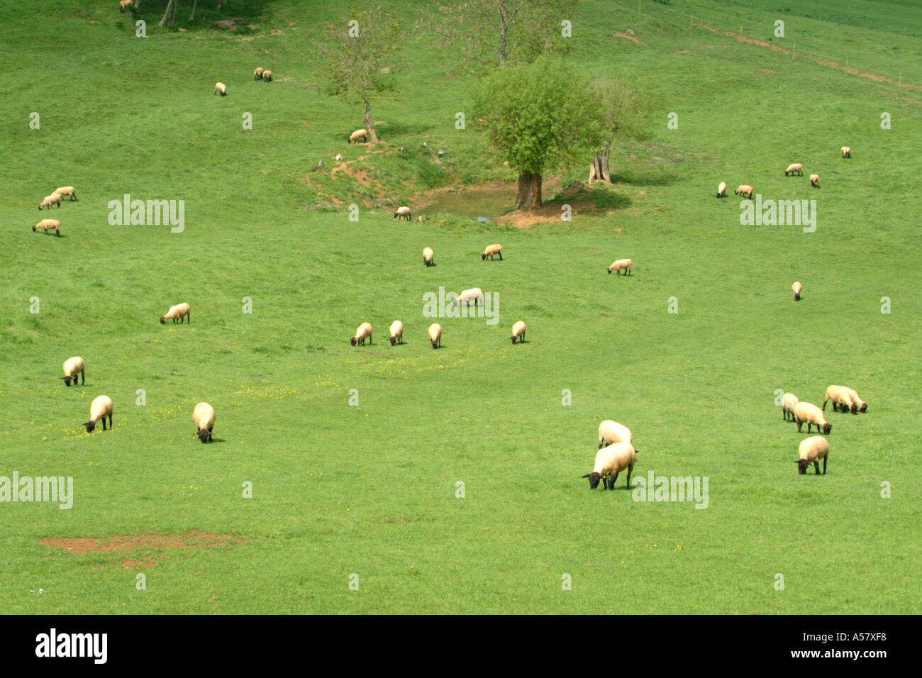 Alkerton hi-res stock photography and images - Alamy