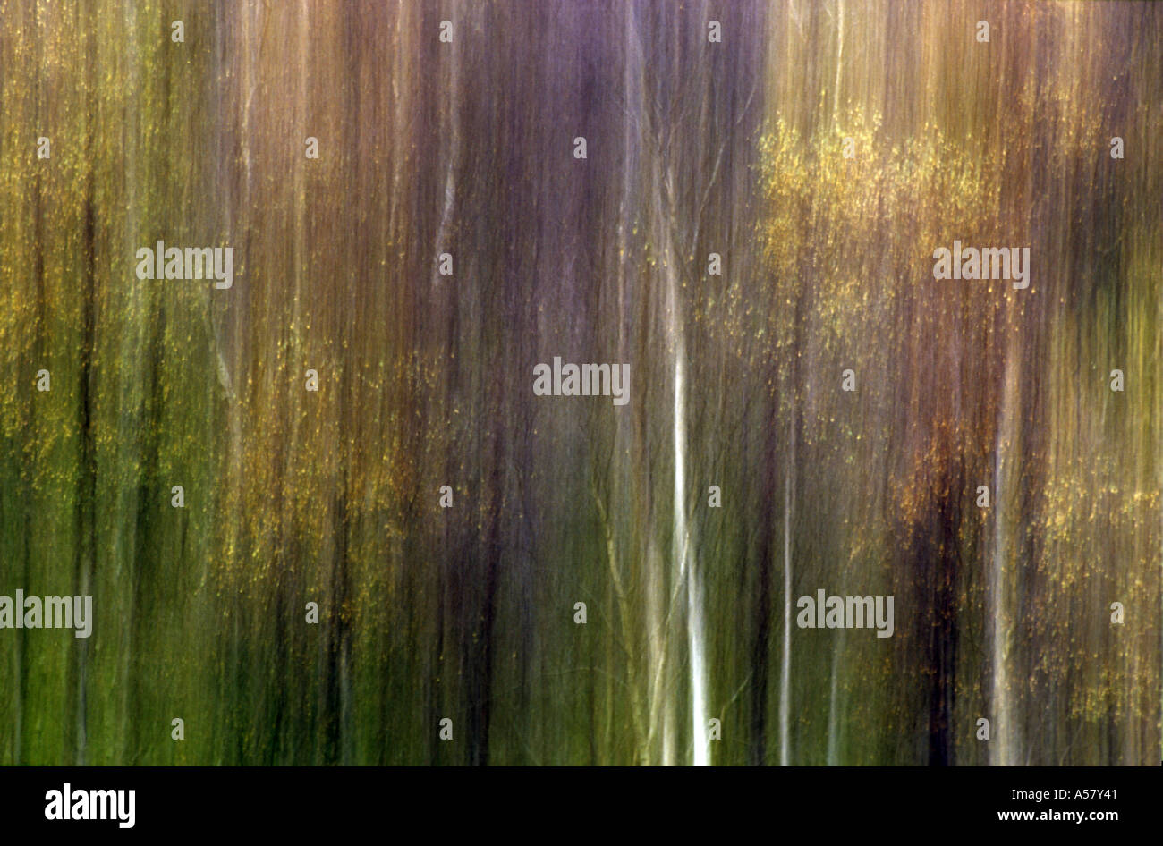 ABSTRACT AUTUMN COLOURS Stock Photo - Alamy